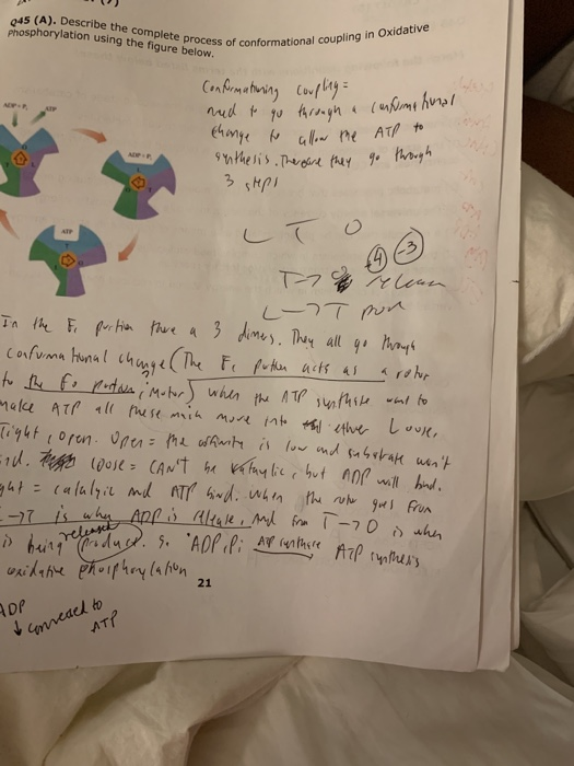 Solved 25 (A). Describe the complete process of conform | Chegg.com