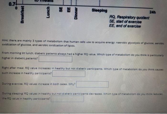 Red Line = DMT1 Blue Line = Healthy Fuel selection | Chegg.com