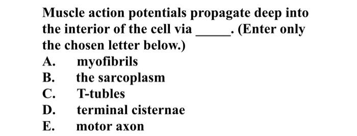 Solved Put the following events of the sliding filament | Chegg.com