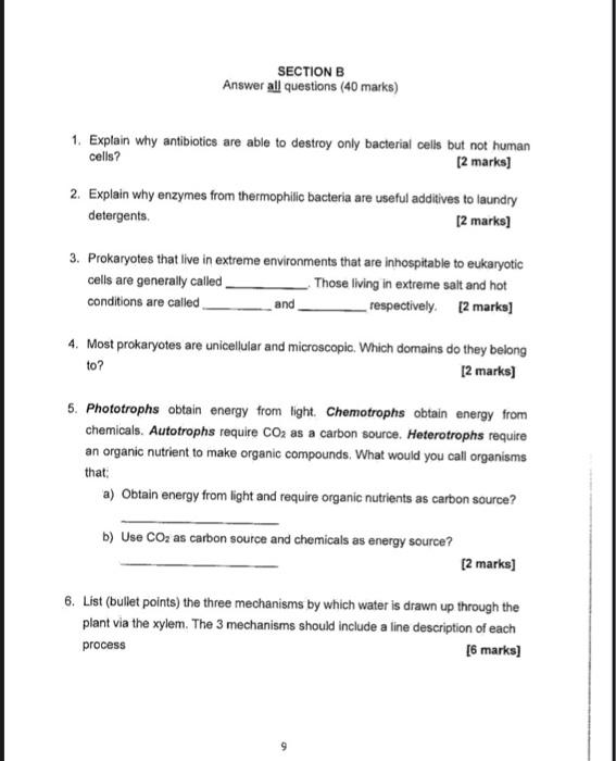 Solved SECTION B Answer all questions (40 marks) 1. Explain | Chegg.com Solved SECTION B Answer all questions (40 marks) 1. Explain | Chegg.com