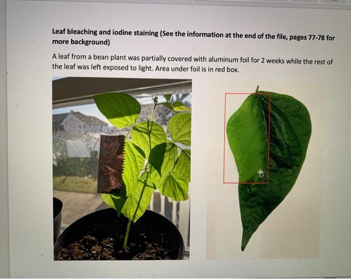 Solved Please answer questions 3 and 4 on the 3rd picture | Chegg.com