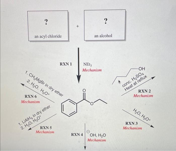 Solved RXN 1NEt3 स. RXN 5 Mechanism | Chegg.com