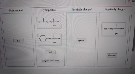 Solved Att Polar neutral Hydrophobic Positively charged | Chegg.com