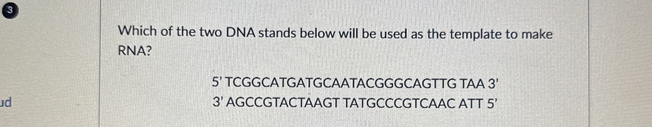 Solved 3Which of the two DNA stands below will be used as | Chegg.com