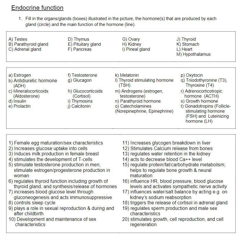 Solved Endocrine function | Chegg.com