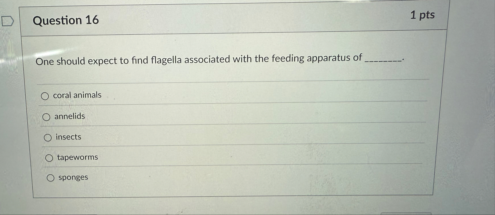 Solved Question 161 ﻿ptsOne should expect to find flagella | Chegg.com