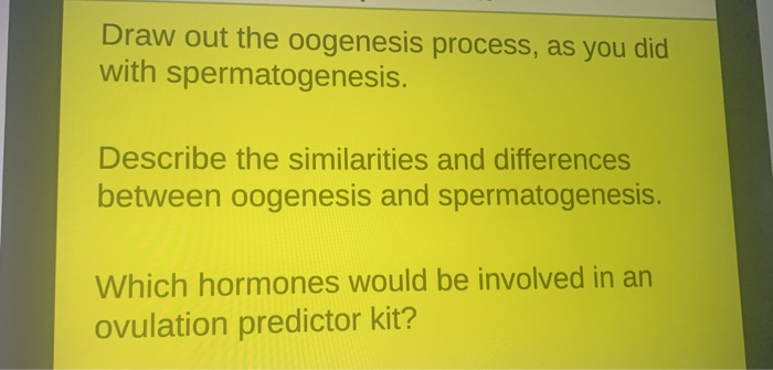 Solved Draw out the oogenesis process, as you did with | Chegg.com