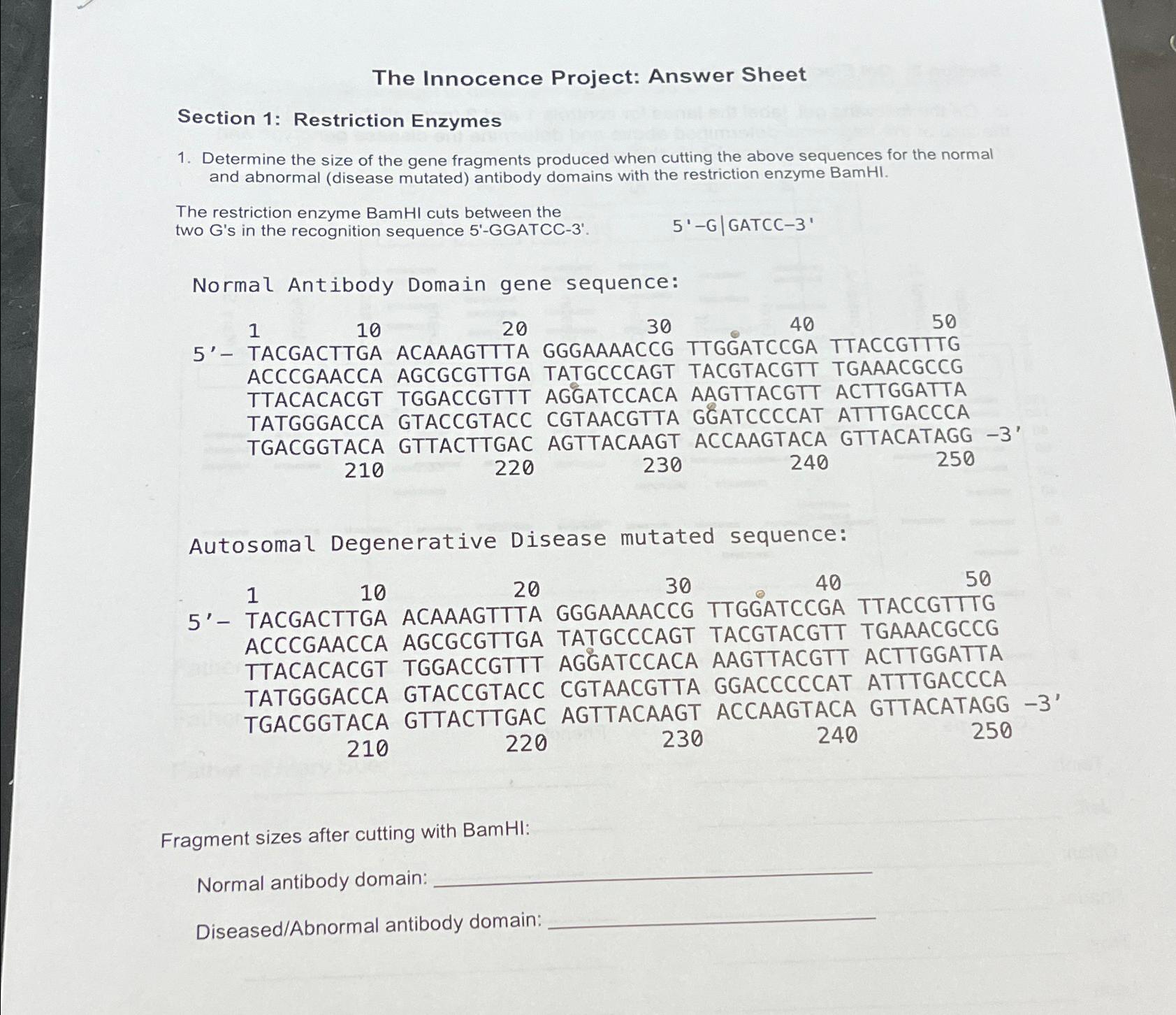 Solved The Innocence Project: Answer SheetSection 1: | Chegg.com