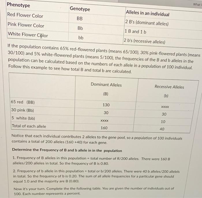 Solved Phenotype What Genotype Red Flower Color BB Pink | Chegg.com