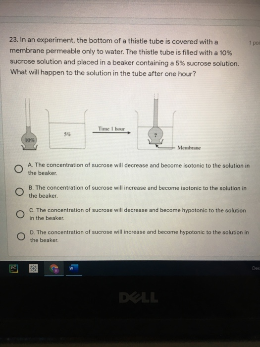 Solved 1 por 23. In an experiment, the bottom of a thistle | Chegg.com