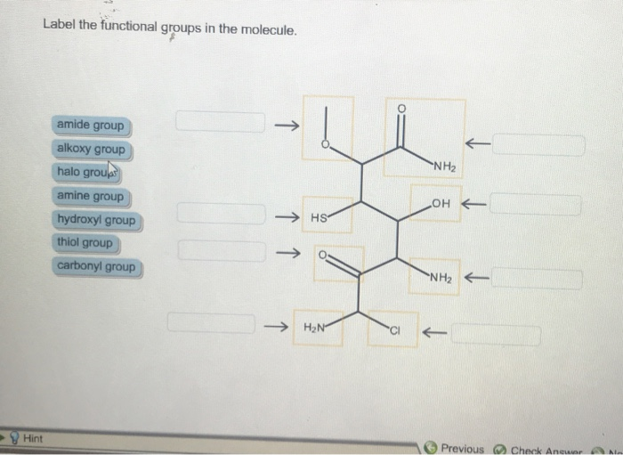 Solved Label the functional groups in the molecule. NH2 | Chegg.com