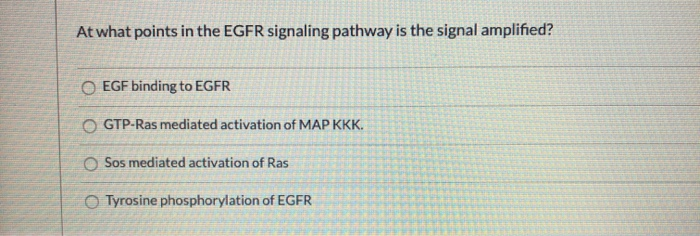 Solved At what points in the EGFR signaling pathway is the | Chegg.com