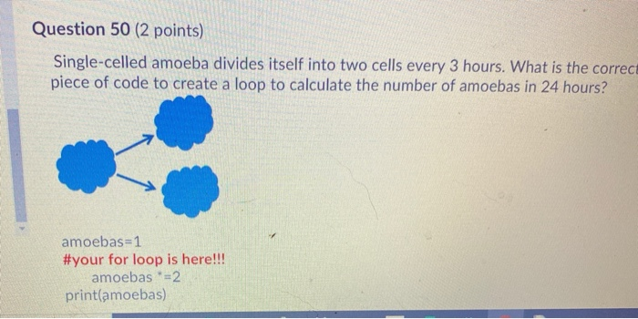 Solved Question 50 (2 points) Single-celled amoeba divides | Chegg.com