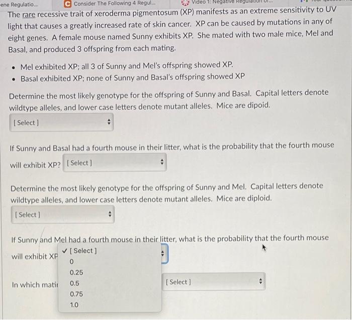 Solved The rare recessive trait of xeroderma pigmentosum | Chegg.com