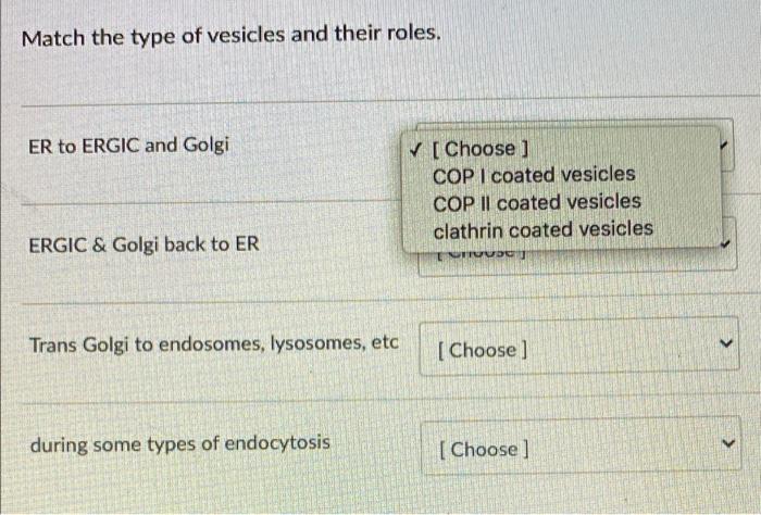 Solved Match the cytoskeletal element with the correct name. | Chegg.com