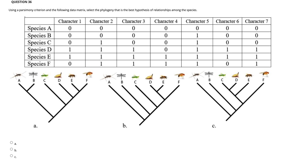 Solved QUESTION 36Using a parsimony criterion and the | Chegg.com