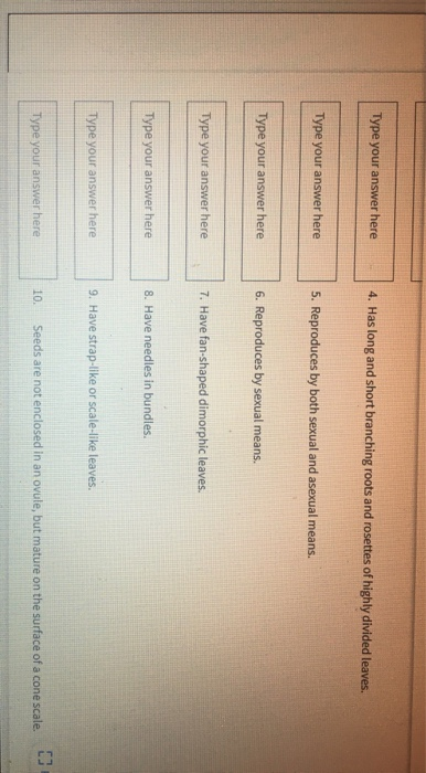 Solved Chapter 23 Review Homework • Due in 3 days 8/12 | Chegg.com