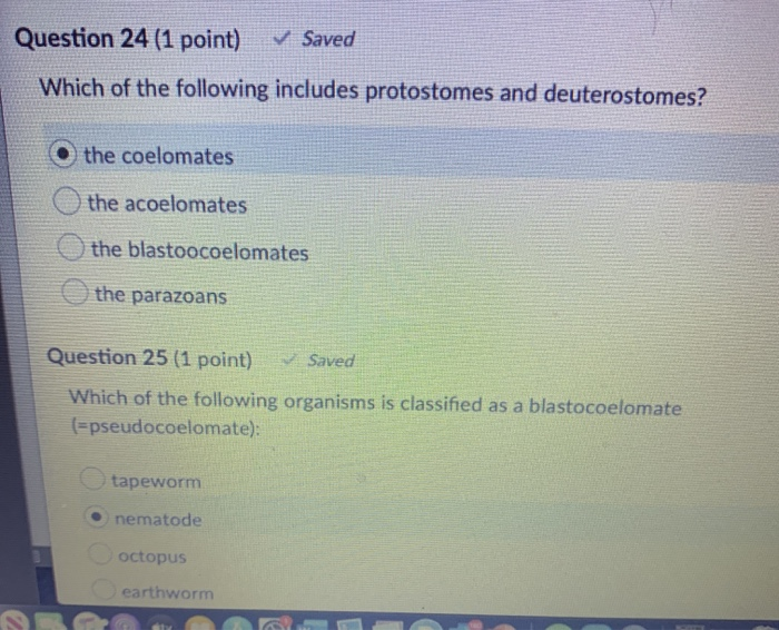 Solved Question 24 (1 point) Saved Which of the following | Chegg.com