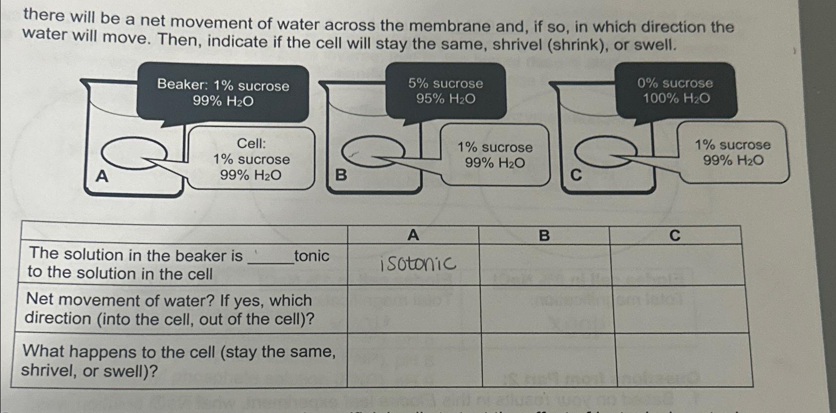 Solved there will be a net movement of water across the | Chegg.com
