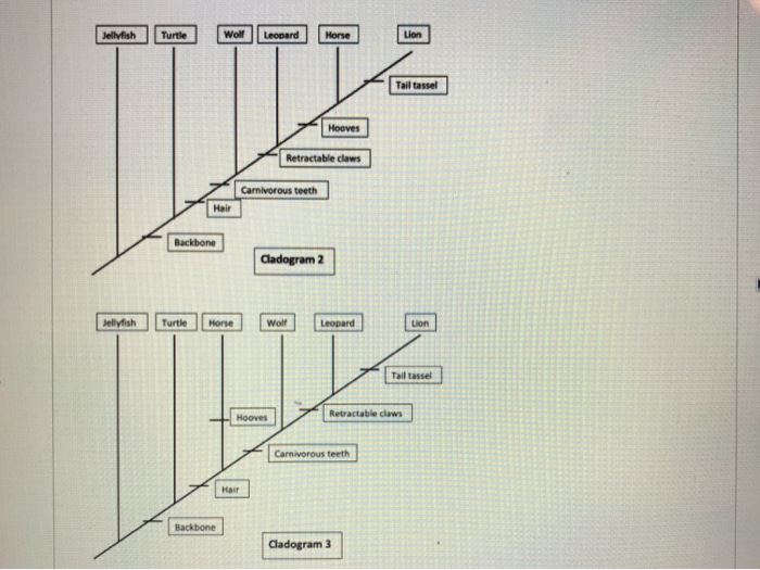 Solved Based on the following character table, which of the | Chegg.com