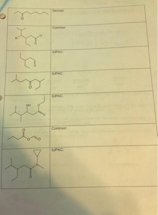 Solved Derived: Common IUPAC: IUPAC: Common: | Chegg.com