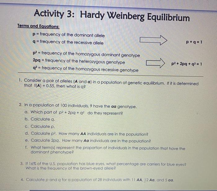 Solved Activity 3: Hardy Weinberg Equilibrium Terms and | Chegg.com