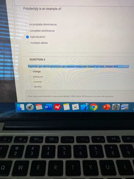 Solved Polydactyly is an example of: incomplete dominance | Chegg.com