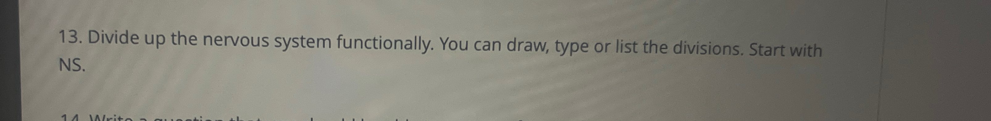 Solved Divide up the nervous system functionally. You can | Chegg.com