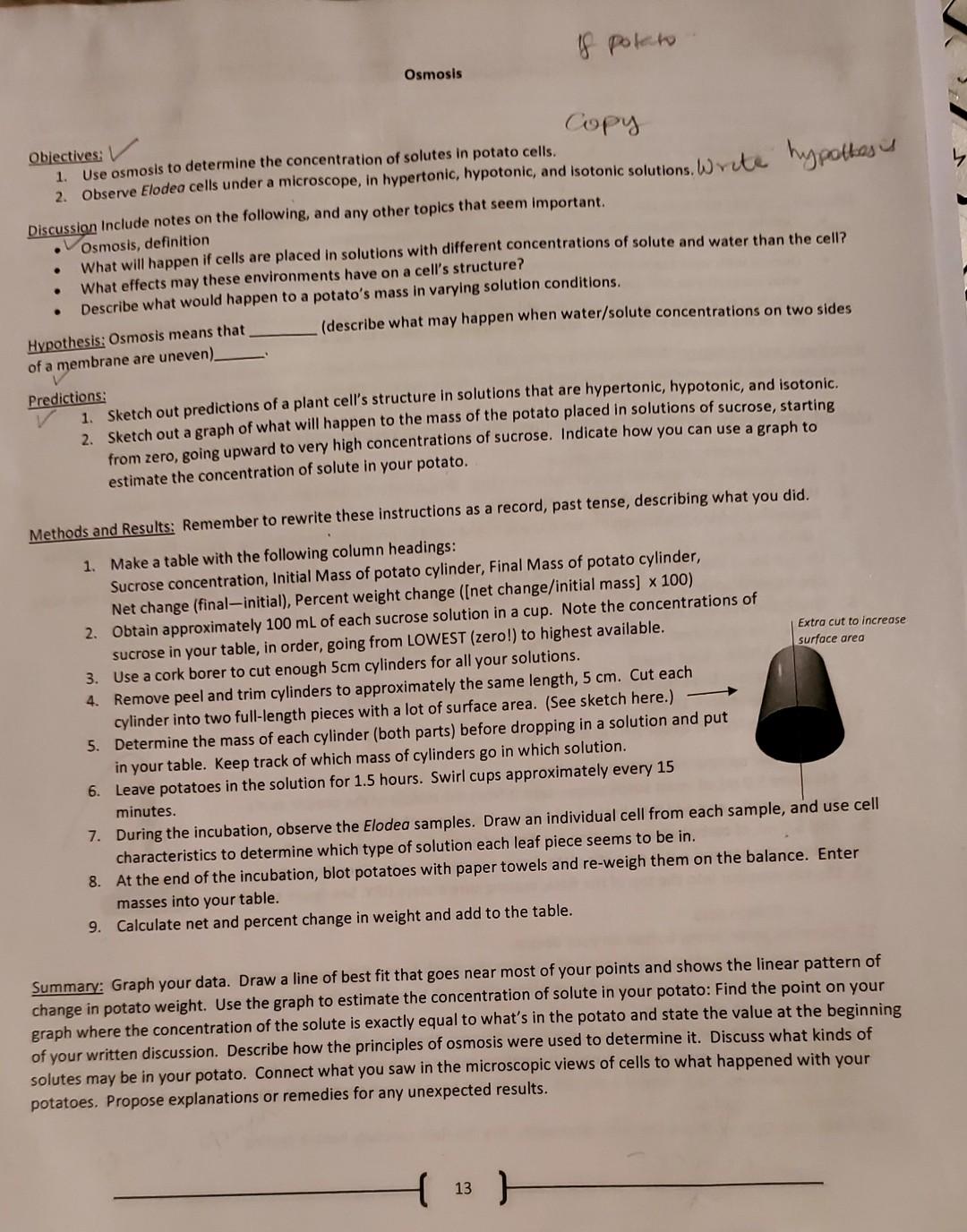 Solved Osmosis Cimpy Obiectives: 1. Use osmosis to determine | Chegg.com