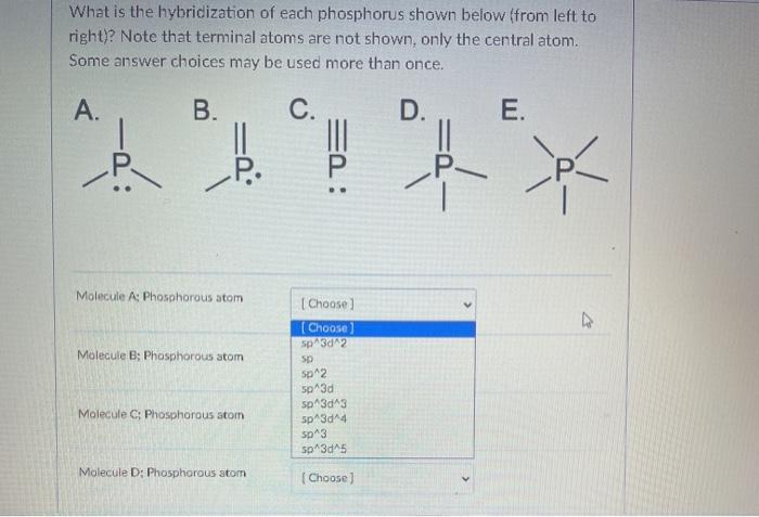 Solved What is the hybridization of each phosphorus shown | Chegg.com
