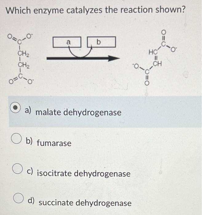 Solved Which enzyme catalyzes the reaction shown? a) malate | Chegg.com