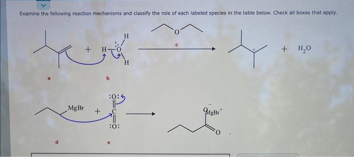 Solved Examine the following reaction mechanisms and | Chegg.com Solved Examine the following reaction mechanisms and | Chegg.com