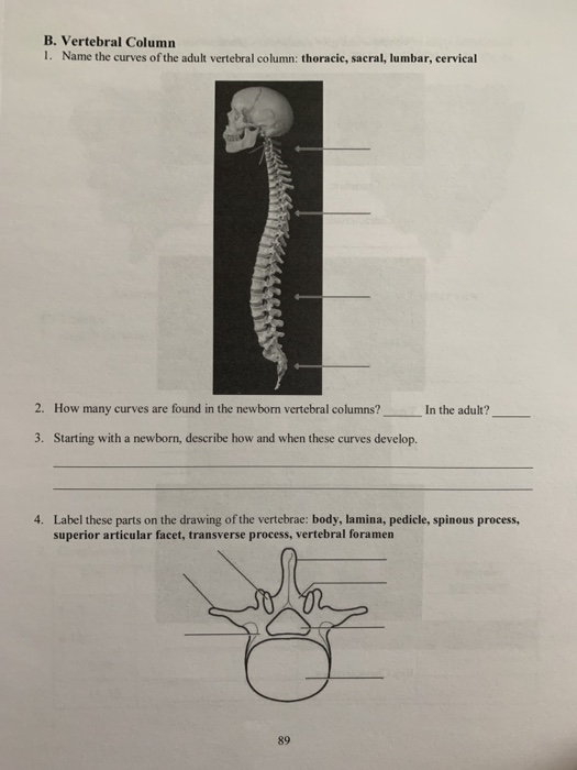 Solved Pre-Lab Name: 8. The Skeletal System Axial skeleton. | Chegg.com