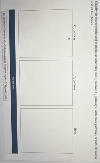 Solved Classify the characteristics and examples as | Chegg.com