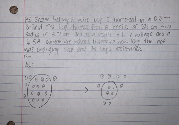Solved As shown below, a wire loop is immersed in a 0.3T | Chegg.com