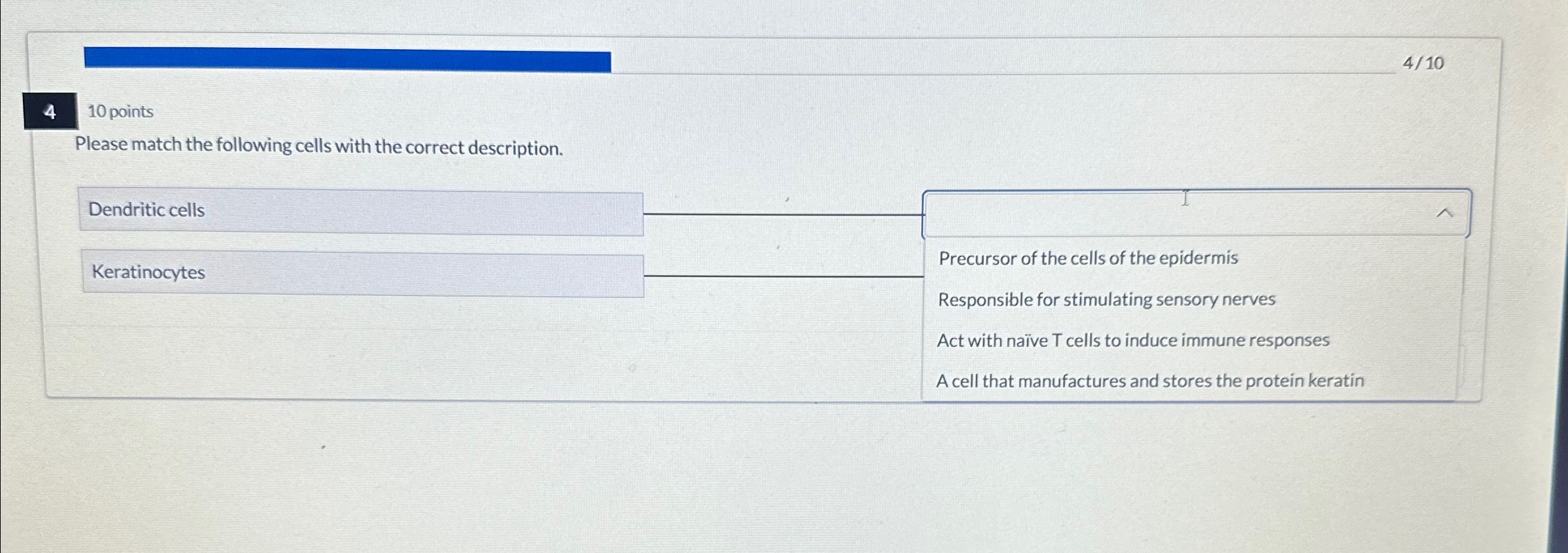 Solved 4,10 ﻿pointsPlease match the following cells with the | Chegg.com