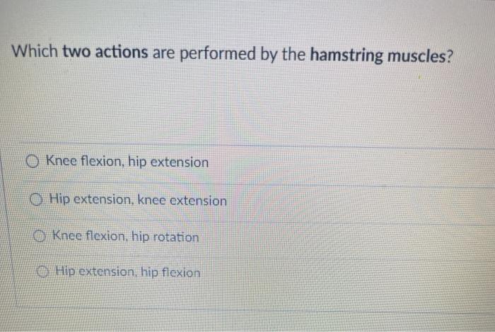 Solved Which two actions are performed by the hamstring | Chegg.com