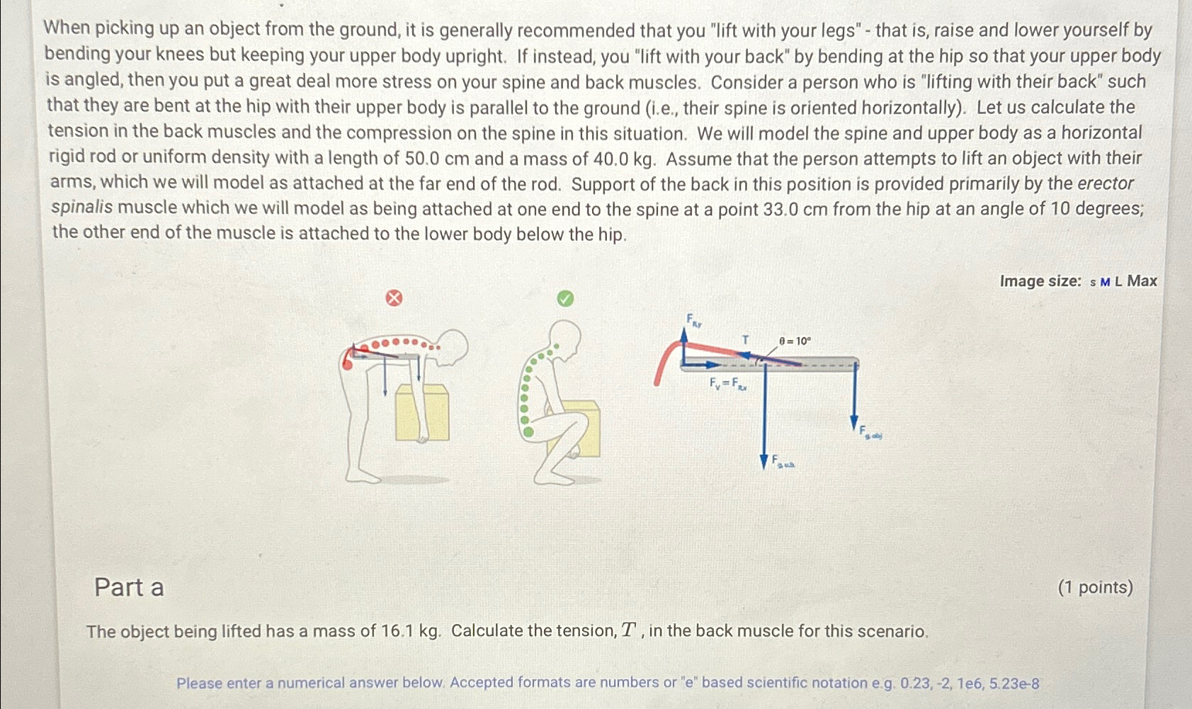 Solved When picking up an object from the ground, it is | Chegg.com