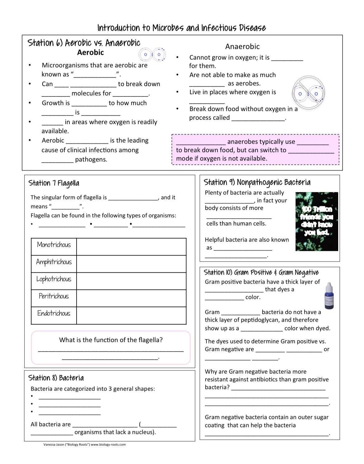 Solved Introduction to Microbes and Infectious | Chegg.com