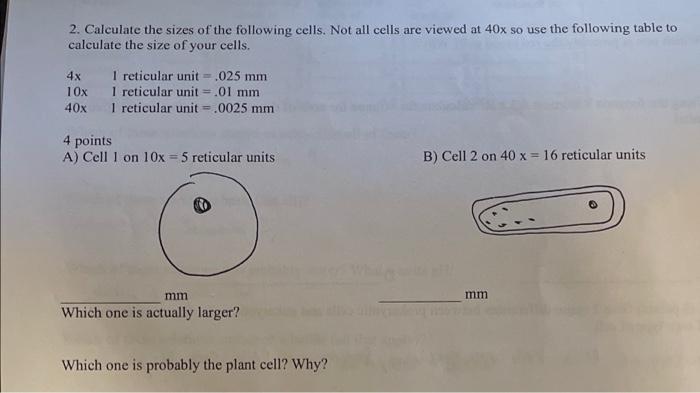 2. Calculate the sizes of the following cells. Not | Chegg.com