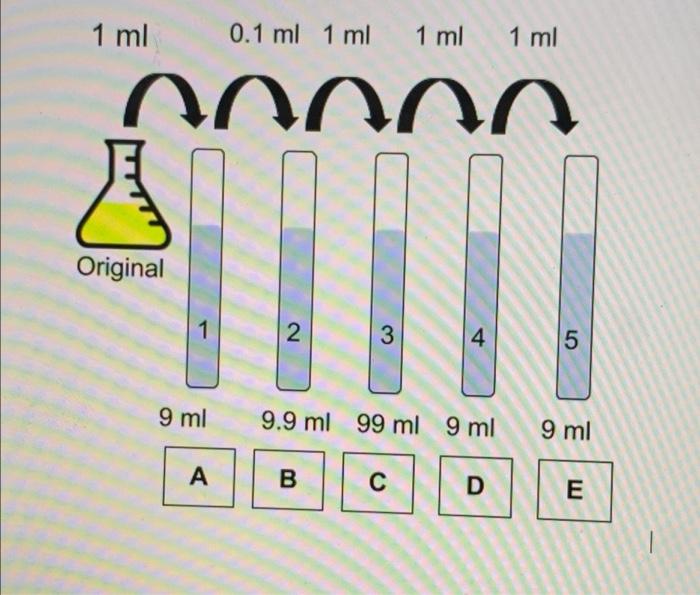 Solved 1 ml 0.1 ml 1 ml 1 ml 1 ml nnnnn Original 1 2 3 A 5 9 | Chegg.com