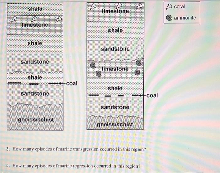 Solved 3. How many episodes of marine transgression occurred | Chegg.com
