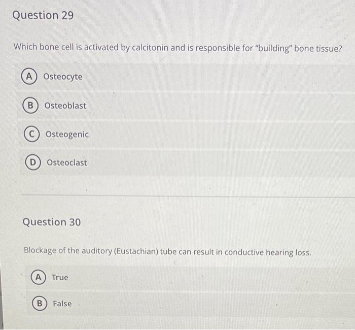 Solved Hello! i need help answering ALL of the following | Chegg.com