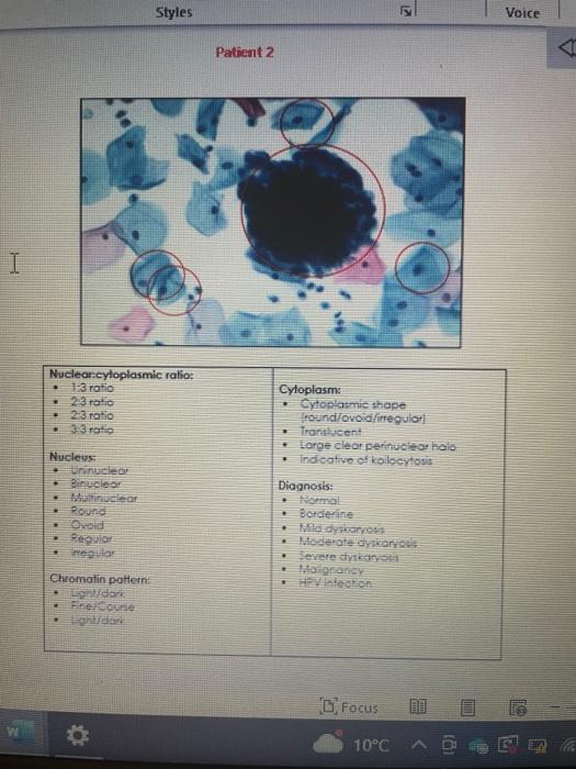 below are smear test result can you diagnoise the | Chegg.com