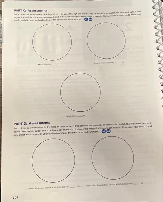 PART C: Assessments any of the ceflildr structures | Chegg.com
