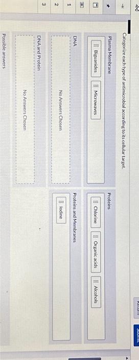 Solved Categorize each fype of antimicrobial according to | Chegg.com