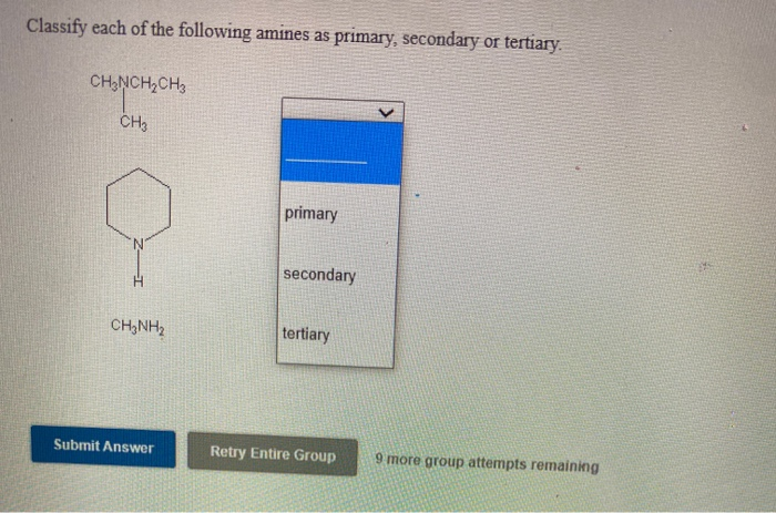 Solved Classify each of the following amines as (1) primary, | Chegg.com