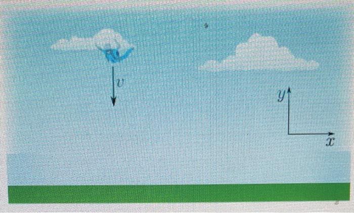 Solved A skydiver falls d1= 462m in t1= 7.9s before opening | Chegg.com