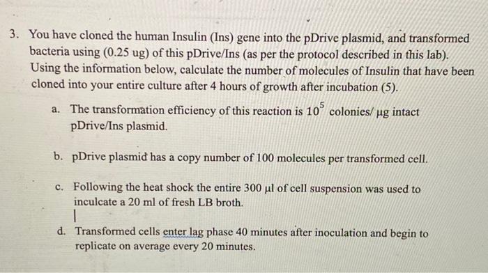 Solved Genetics Lab: Rapid Colony Transformation of E. coli | Chegg.com