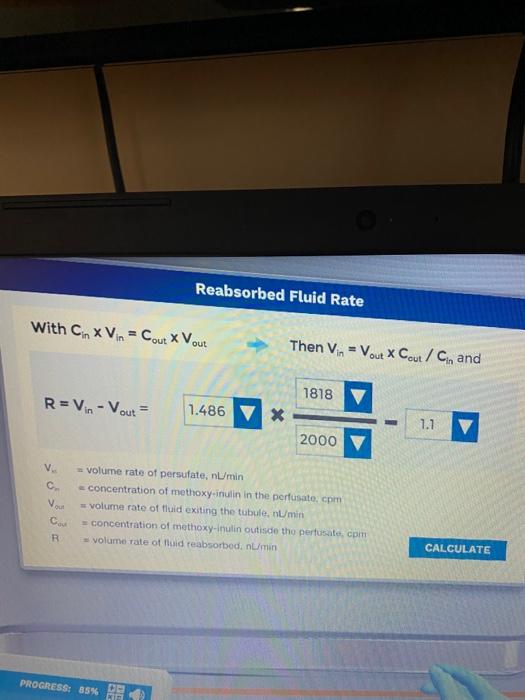 Solved Cin and Cout represent the concentrations of | Chegg.com